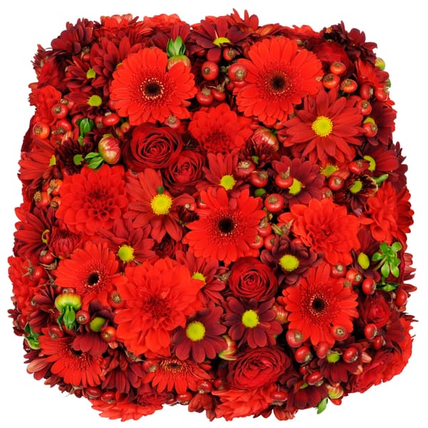 Devotion: Order Flowers Online | Interflora India | ID1383139