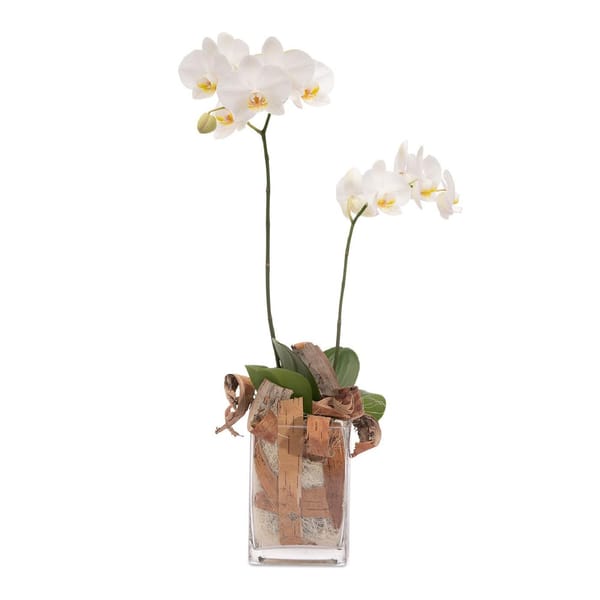 Floral arrangement with white orchid: Order Flowers Online | Interflora ...