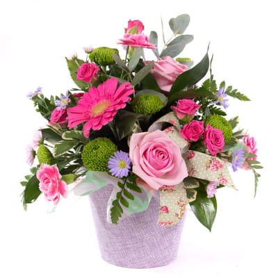 Cotton Candy: Order Flowers Online | Interflora India | JVS1205295