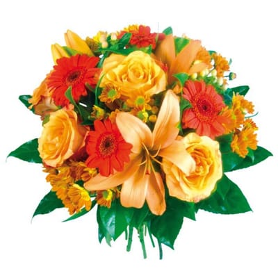 Flowers for Goldilocks: Order Flowers Online | Interflora India | ID1356439