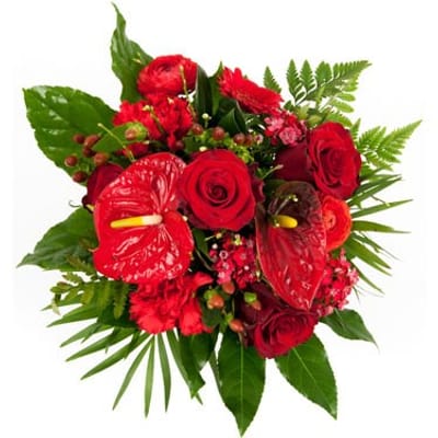Lorena: Order Flowers Online | Interflora India | ID1182985
